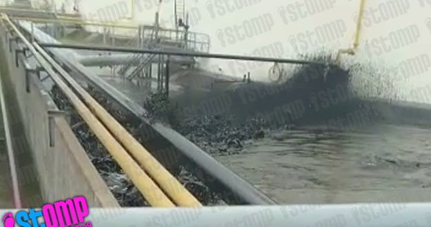 wild shores of singapore: Oil spill at Pulau Busing on 30 Apr 2016