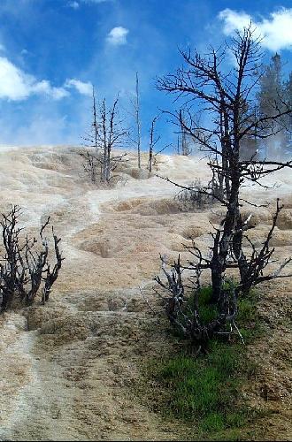 "Live Life Like it's a Vacation": 2002 Oregon/Montana/Yellowstone ...