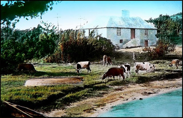 50 Rare Color Photographs Capture Everyday Life in Bermuda in the 1930s ...