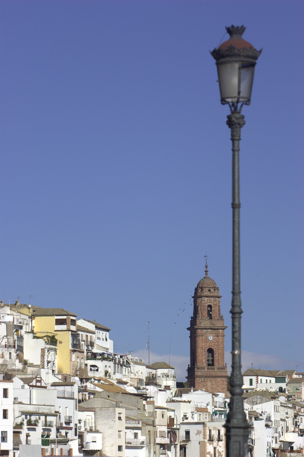 Pasión por Montoro: Fotografías presentadas al II Concurso de ...