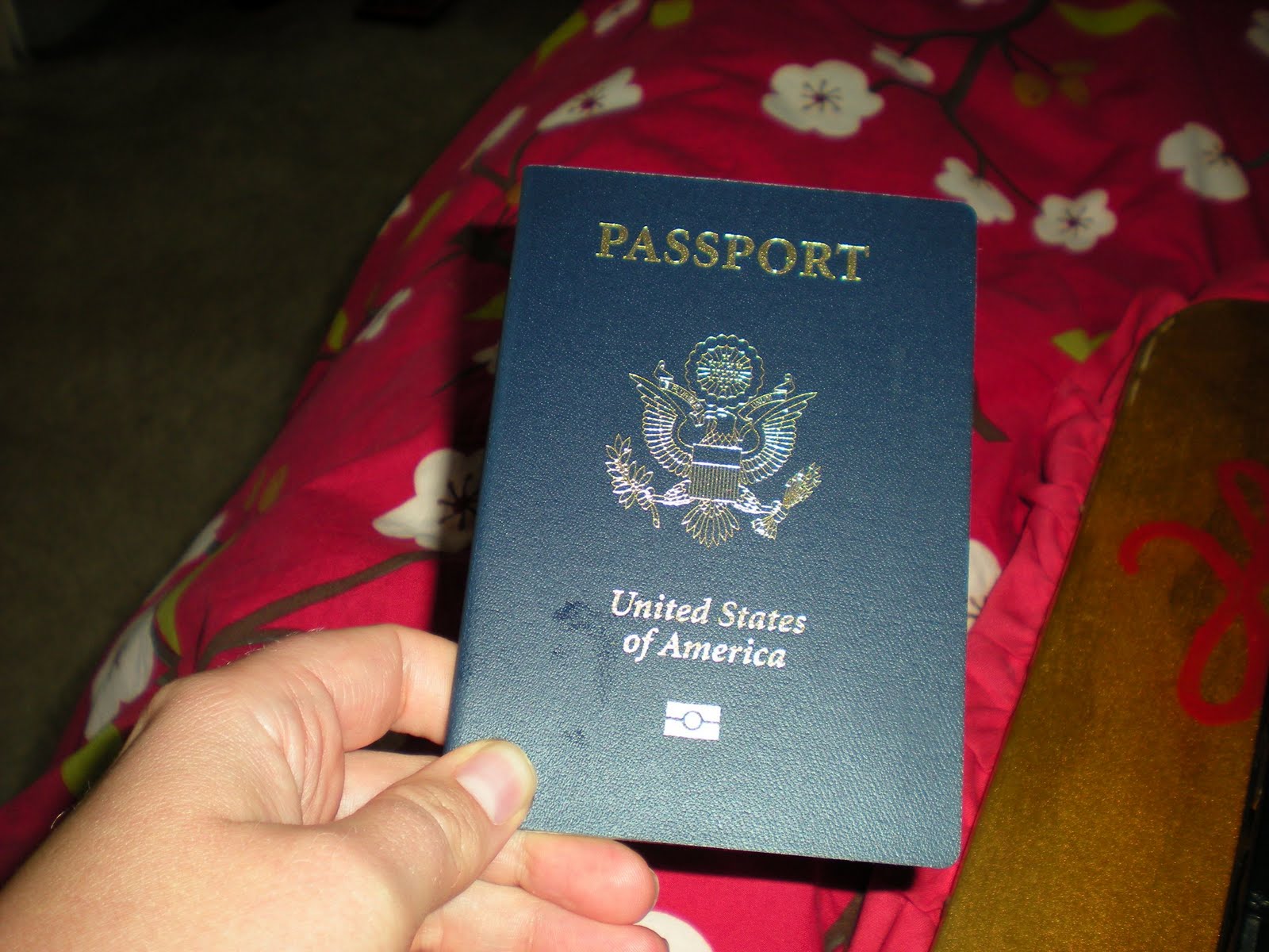 Go Girl Go Working At Home My New Passport Go Girl Go Working At Home My New Passport