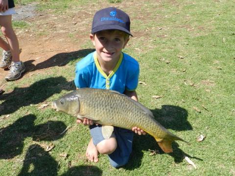 Koedoe Angling Club - Freshwater Carp Angling: ROALD MATTHEE - KARP TE ...