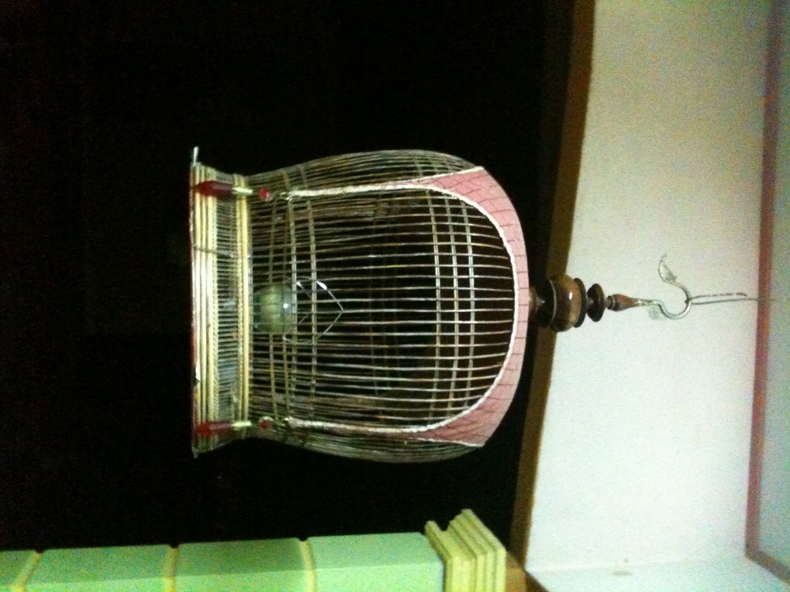 ZUDIN EXOTIC FARM: PENTERNAKAN BURUNG MERBUK TANDING