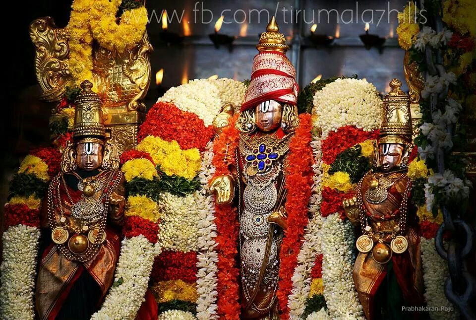 TELUGU WEB WORLD: THIRUMALA THIRUPATHI DEVASTHANAM PICS