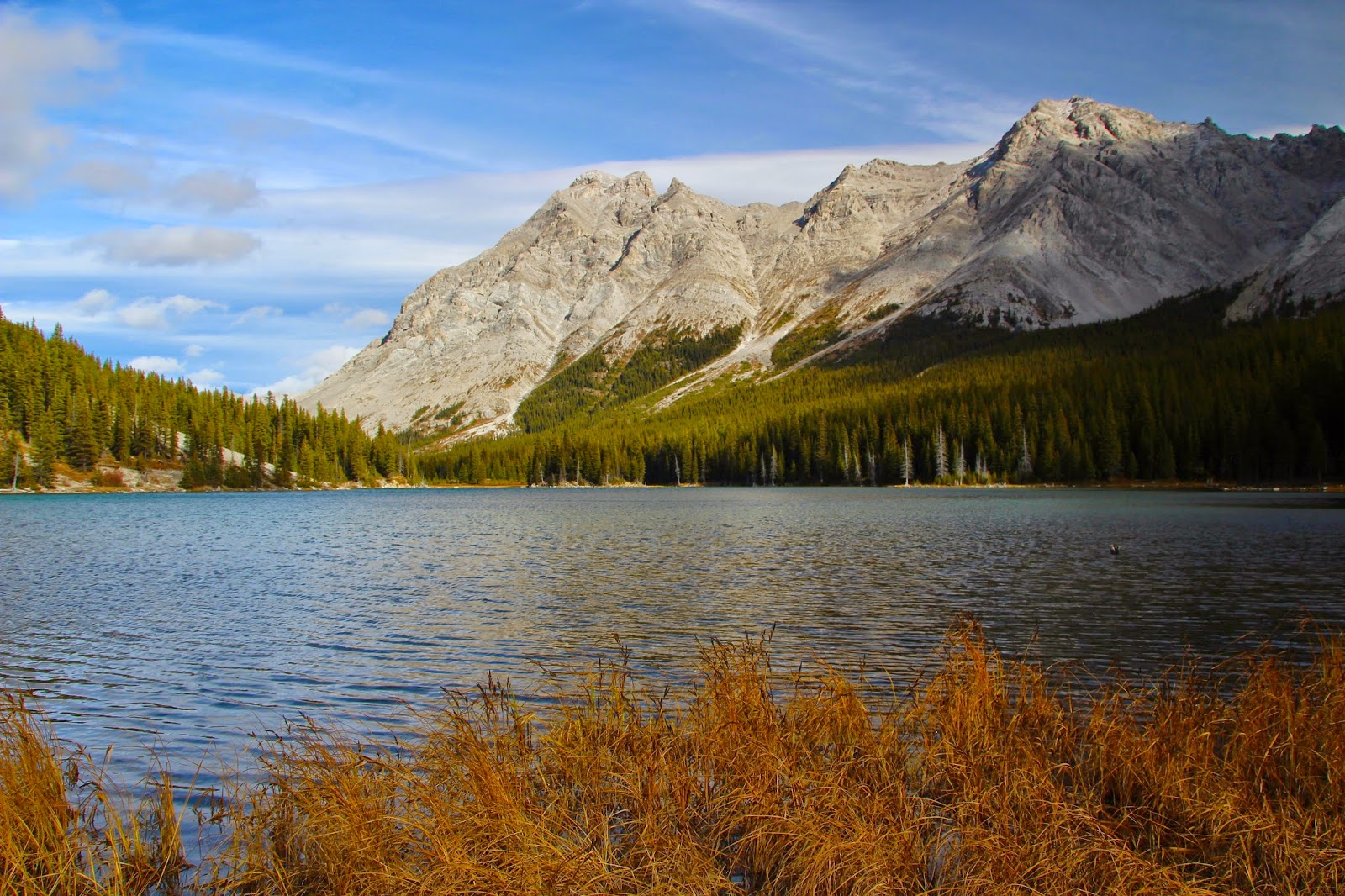Get Me Outdoors: Elbow Lake