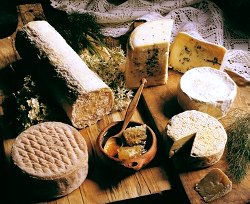 The Irish Food Guide by Zack Gallagher. News about Food and Food ...