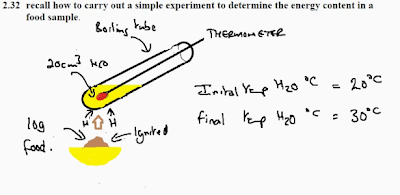 Michelle's Biology (:: Experiment 2.32 Energy Content of Food
