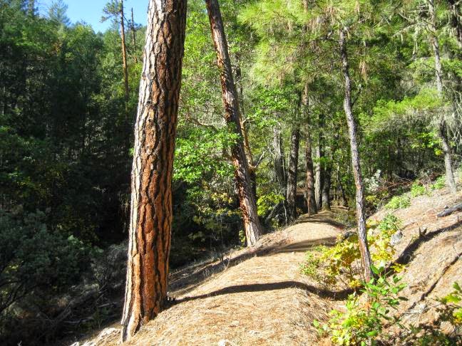 Hiking Sasquatch Country: 13 Gin Lin Mining Trail