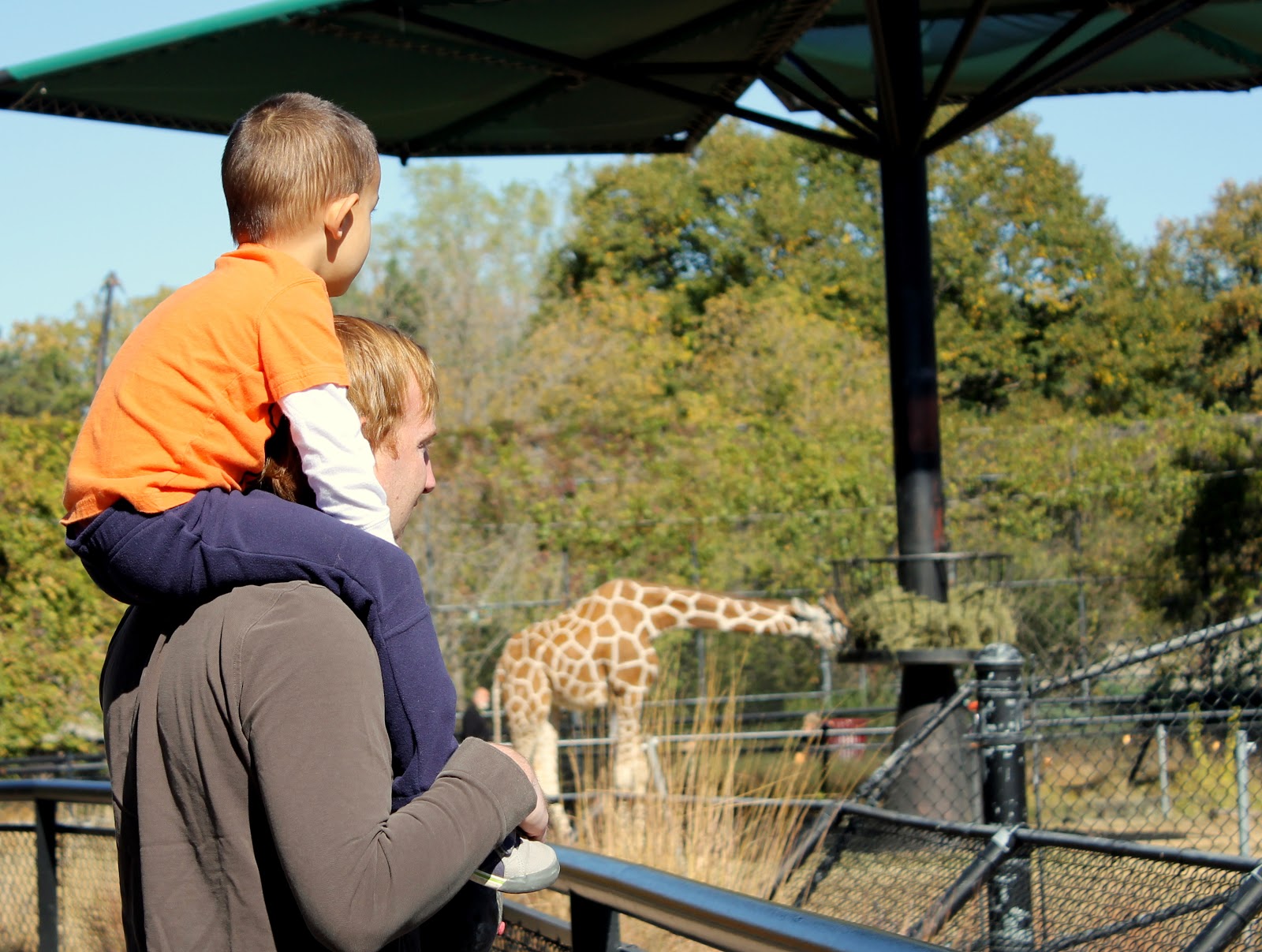 Arrows Sent Forth: Como Park Zoo