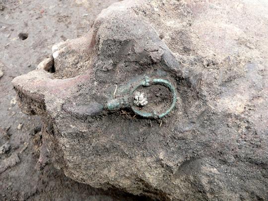 TARİH VE ARKEOLOJİ: Avar Turks