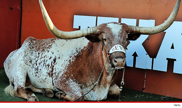 Funny Texans: R.I.P. BEVO