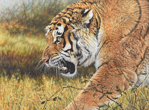 Alan M Hunt Wildlife Artist Original Paintings