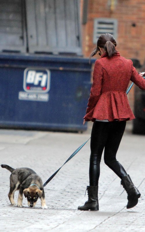 Lights, Camera.....FLASHDANCE!: Didn't I Say.....