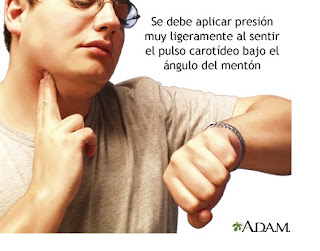 Departamento de Educación Física I.E.S. Almina