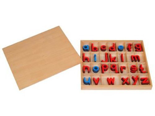 Learning the Montessori Way: Letters & Sounds - Every Star Is Different