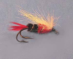 Fly Fishing with Doug Stewart: Fly Fishing with Split-Wing Flies
