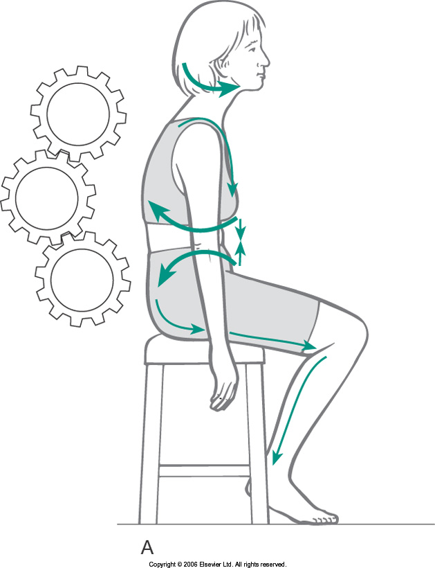 Movement and Moments: Monday Moves: The Brugger Cog Wheel