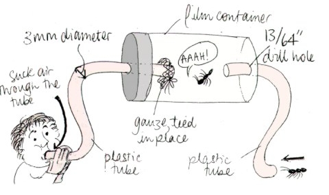 Old writer on the block: Using a pooter (or inhalator)