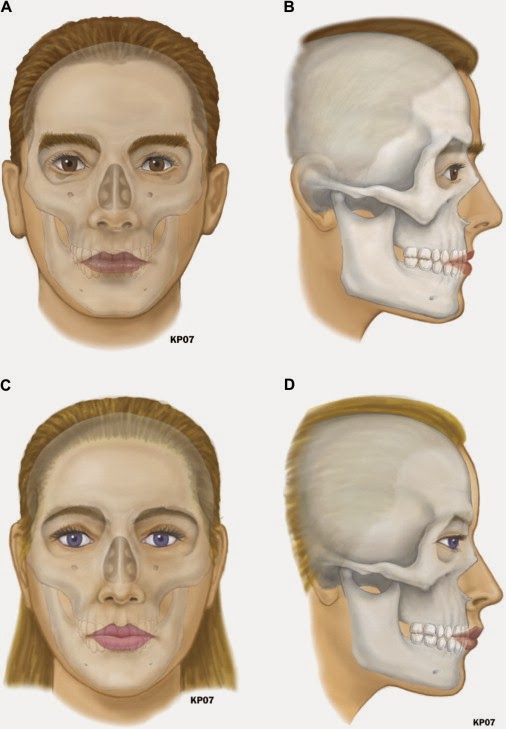 Dental Tooth Fairies: Question 2: Male or Female?