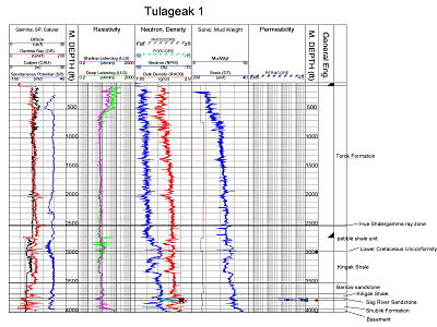 Ensiklopedi Seismik Online: Well-Log Data
