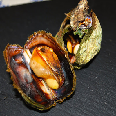 Tra Fiume e Trieste: La mussolera di Trieste