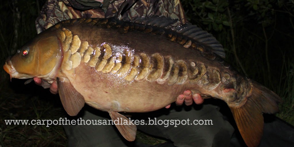 Carp Of The Thousand Lakes: April 2014