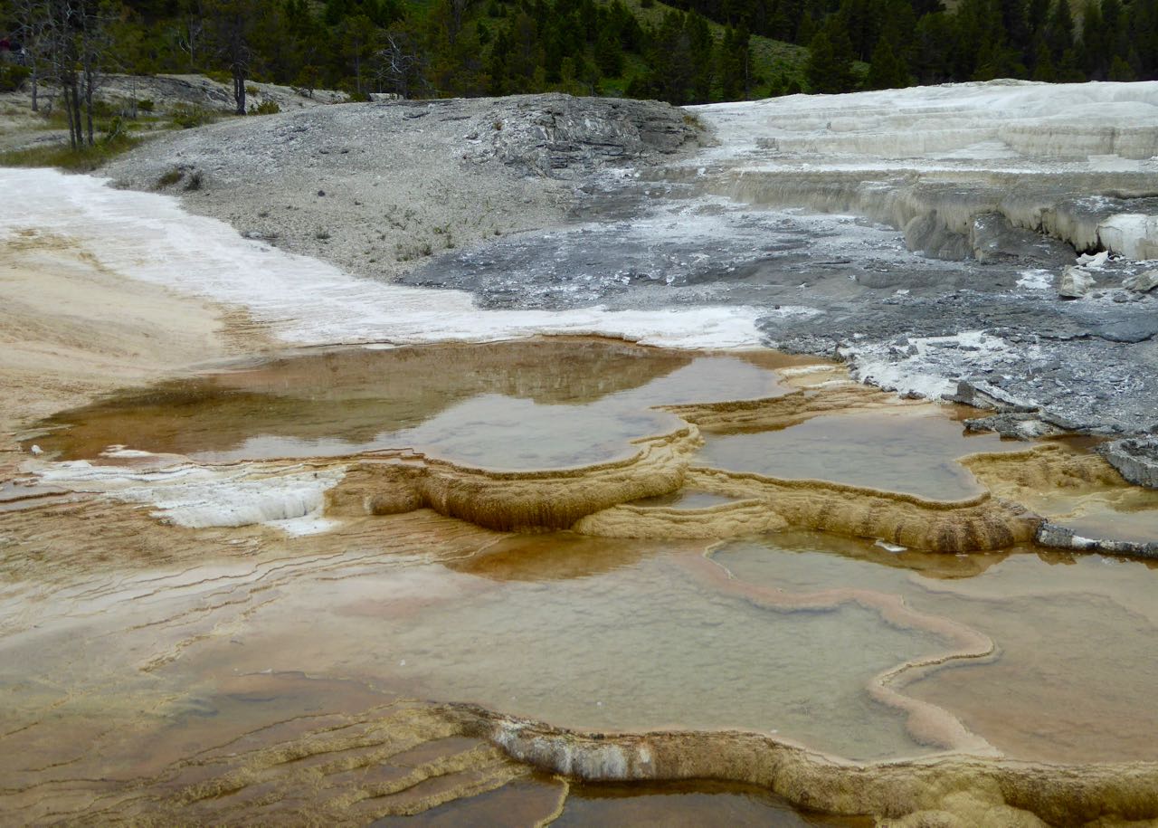 Greg's Running Adventures: Yellowstone National Park