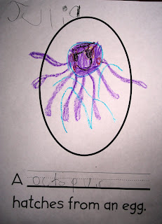 Eberhart's Explorers: Spring is hatching!