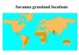 Geography... Extreme Landscapes: THE SAVANNA