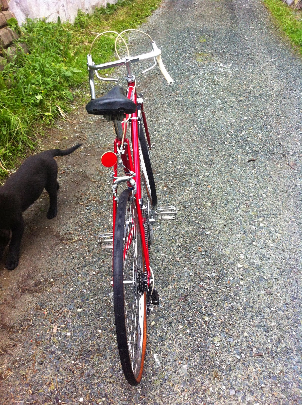 velo vintage C.C.M: Vélo C.C.M de route : Targa