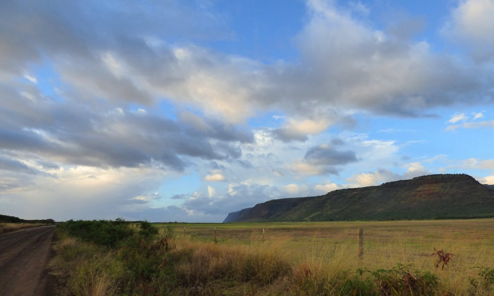 Geotripper: The Hawai'i That Was: The Lost Wetlands of the Mana Plain ...