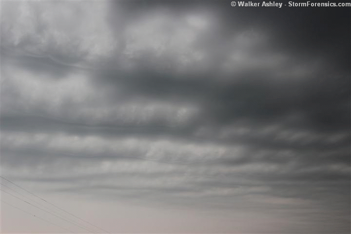 Stratocumulus Undulatus