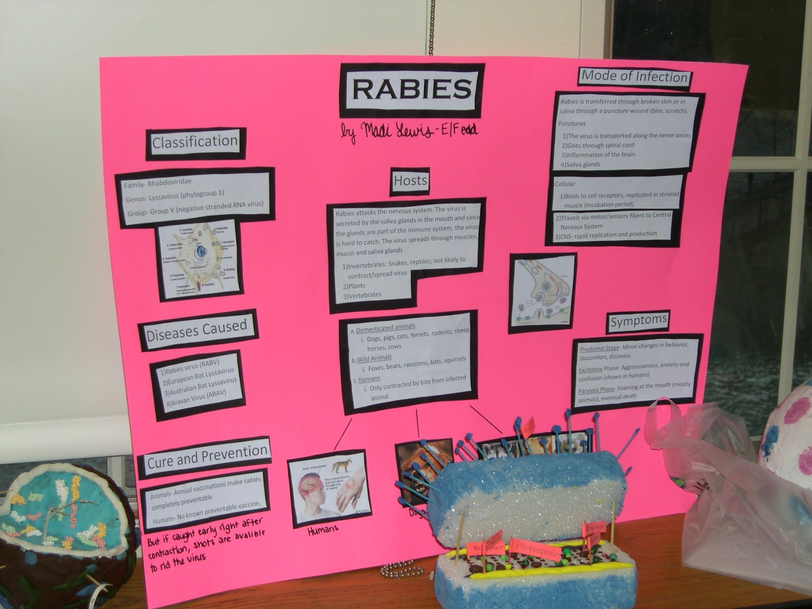 Bronxville Science Department: Honors Biology II Virus Projects