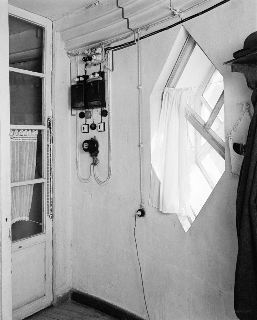 Let's keep it wild.: Honeycomb