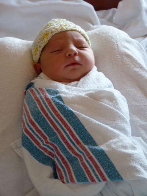 The Adventures of our Baby Huss