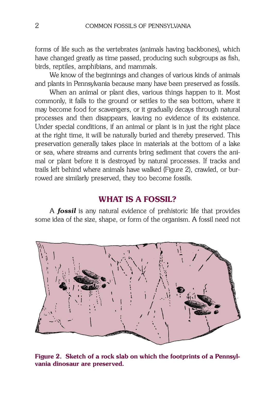 GPAA Allegheny Chapter's Blog: Intersting Items and Documents