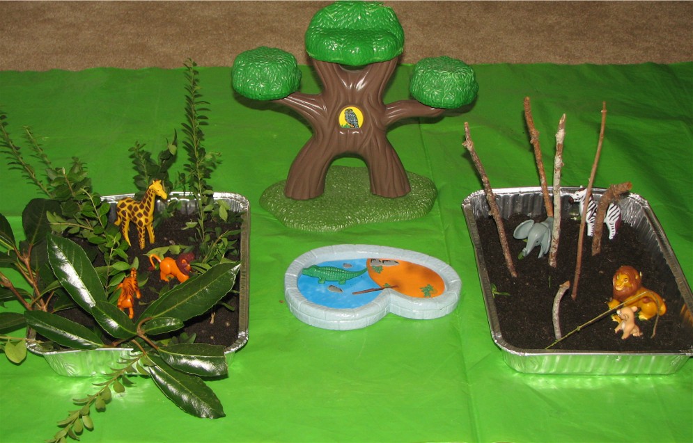 Creating Indoor Forests for Forest Fiesta !!! ~ Putti's World -kids ...