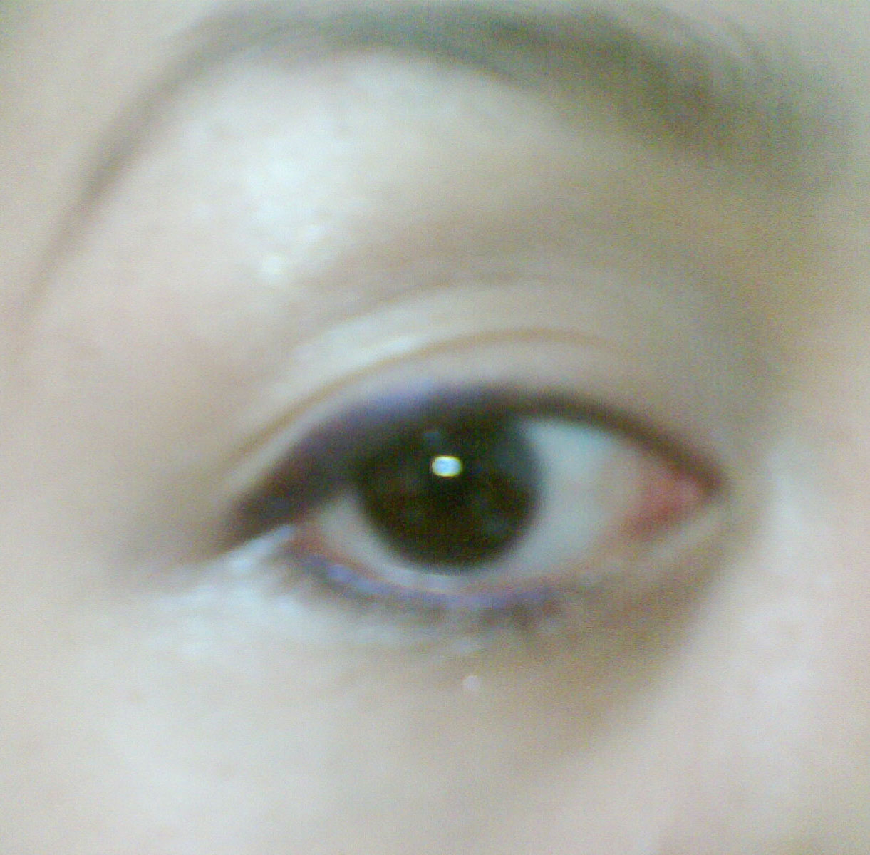 Book to Basics #30 Basic Face by Cindy Crawford