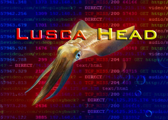 Installing Lusca Head for Proxy on Ubuntu Server | Agratitudesign ...