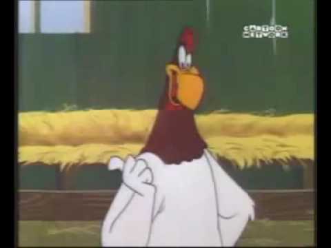 Gallo Claudio y el Gavilan Pollero - VER DIBUJOS ANIMADOS GRATIS