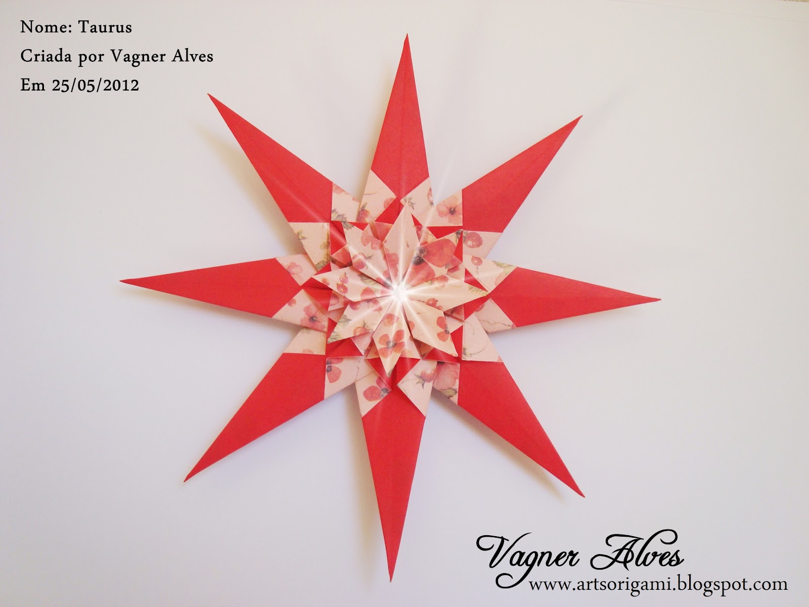 Art`s Origami: Taurus