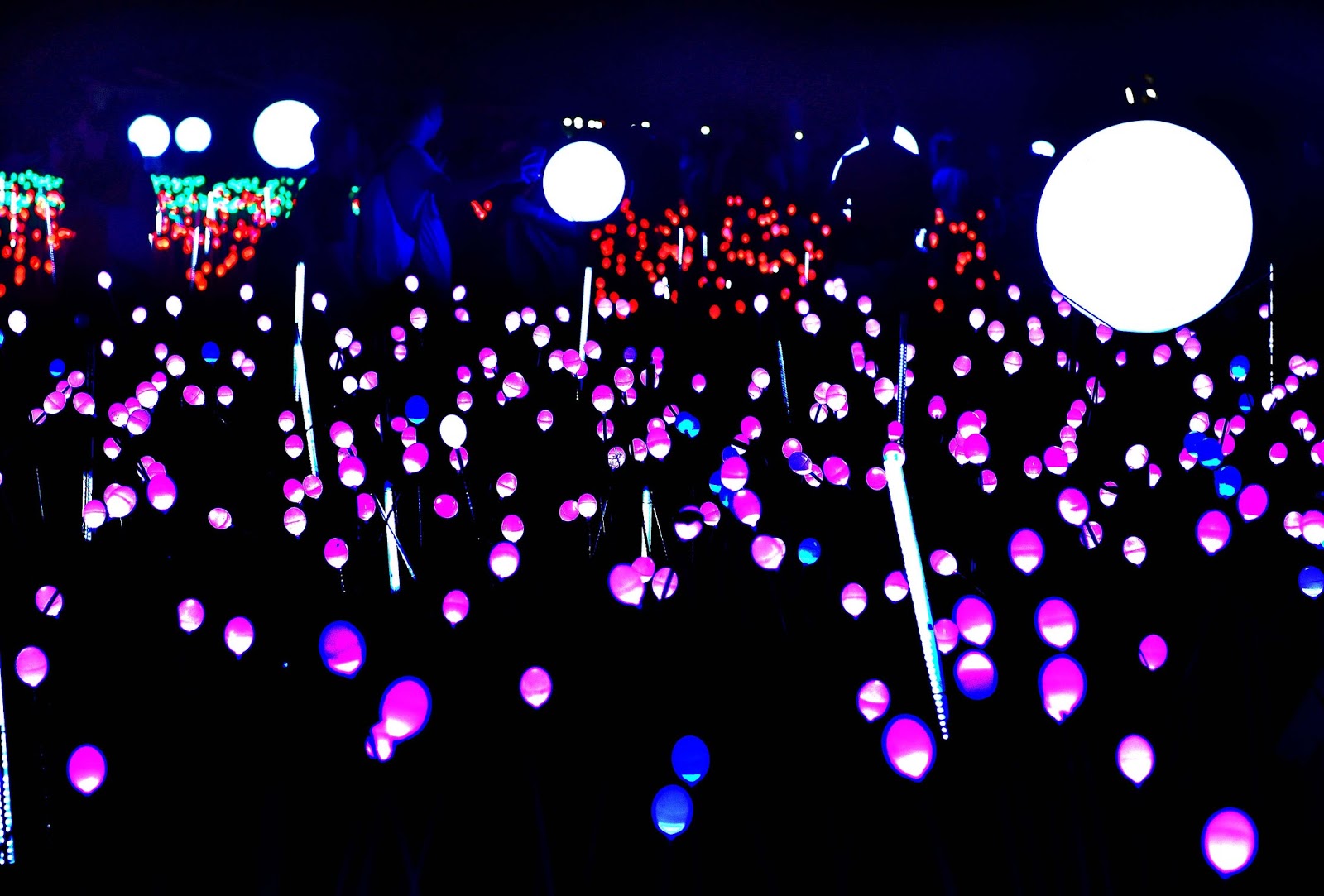 Lucky Citrine: MUST-SEE: Nuvali's Magical Field of Lights