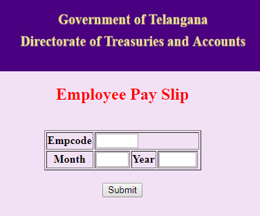 Telangana Government Employee Pay Slip Details Online | How to Check ...