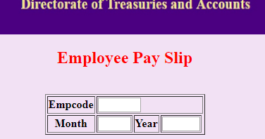 Telangana Government Employee Pay Slip Details Online | How to Check ...