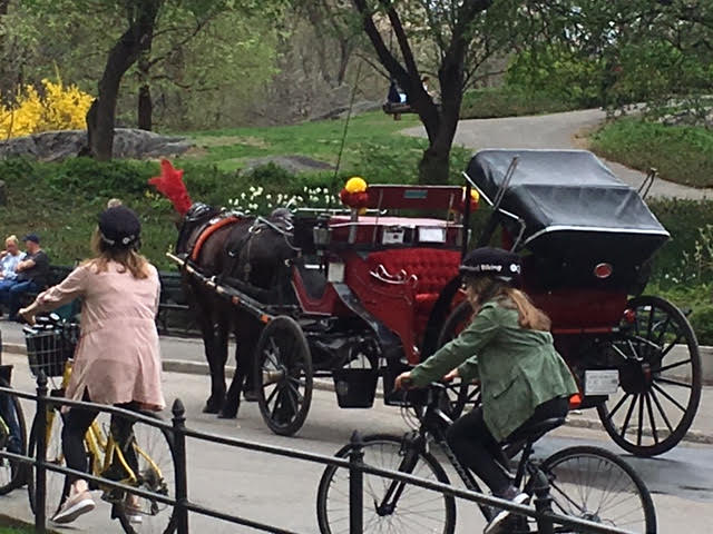 Carriage Horses - NYC: NYC CARRIAGE HORSE HACK LINES -- BOONDOGGLE OR ...
