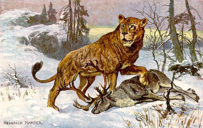 Abe's Animals: List of British extinct mammals by Wikipedia