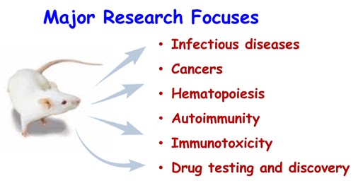 Lab Animal Vet: Q 28. What do you know about humanized mice?