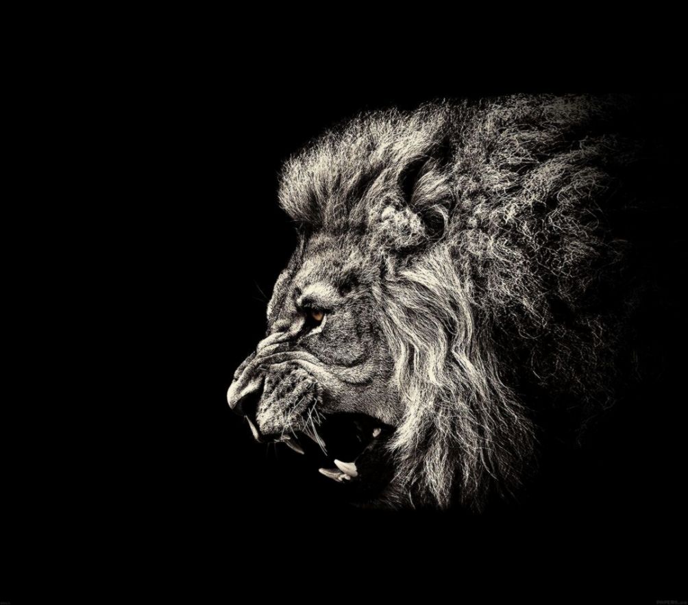 Bad Ass Wallpapers | Important Wallpapers