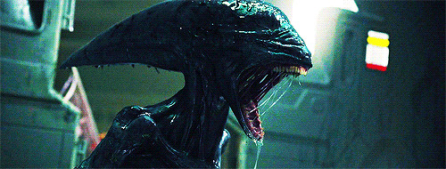 AKI GIFS: The origin of a classic! (Prometheus gif)