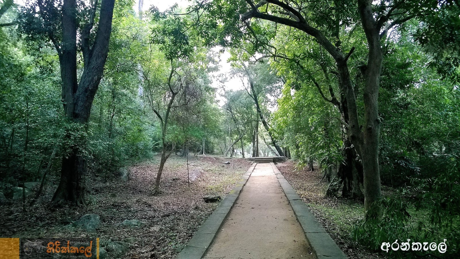 අරන්කැලය ආරණ්‍යසේනාසනය (arankale temple) - "Thirikkale" (තිරික්කලේ)